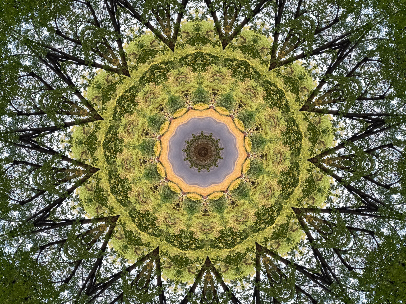 マンダラ塗り絵の効果は？塗り方やきれいに仕上げるコツも紹介 | Lakit日和